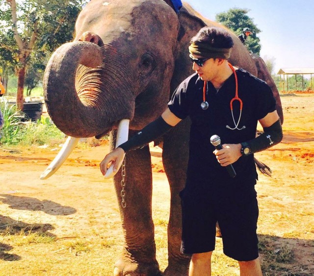 พฤติกรรม ช้างโยโย้-ช้างด้วน แห่งป่าเขาใหญ่