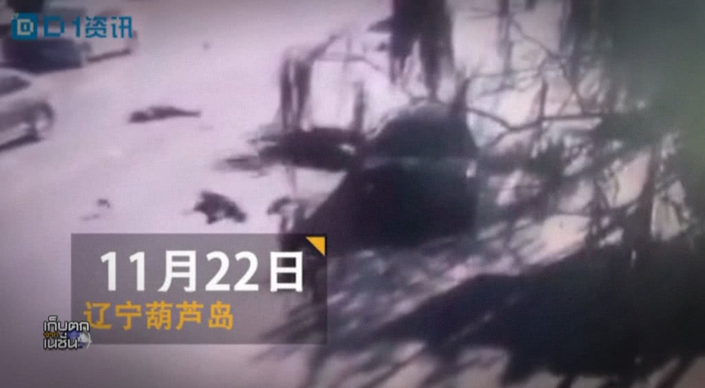 เก็บตกเที่ยงช่วงที่ 3 23-11-61