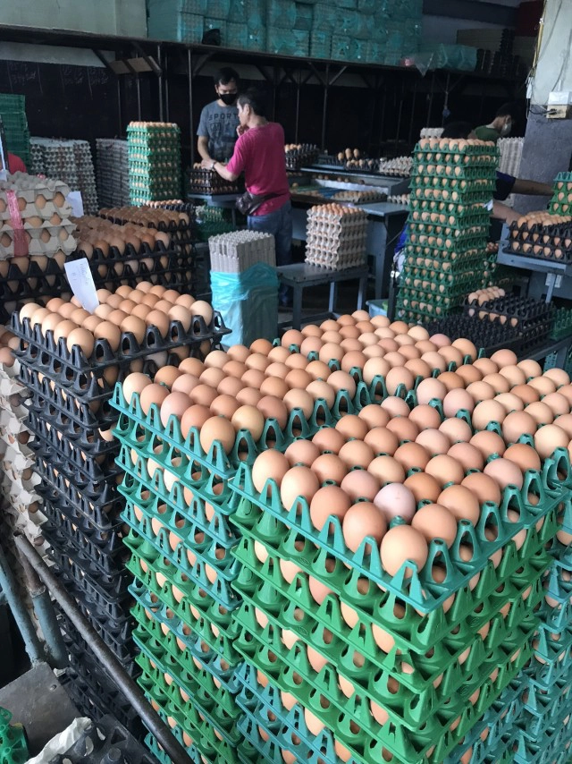 'อากาศร้อน-ภัยแล้ง' ดันต้นทุน 'ไข่ไก่' พุ่ง 10 สต./ฟอง
