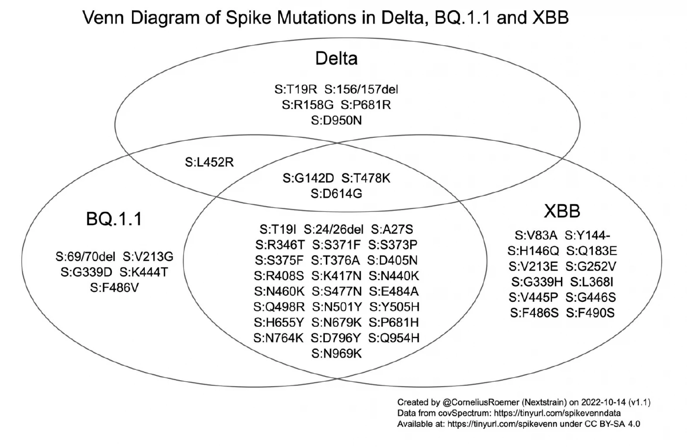 "ดร.อนันต์" หวั่น "โอมิครอนXBB - BQ.1.1" ผสมกัน ส่งผลยอดติดโควิดพุ่งสูง