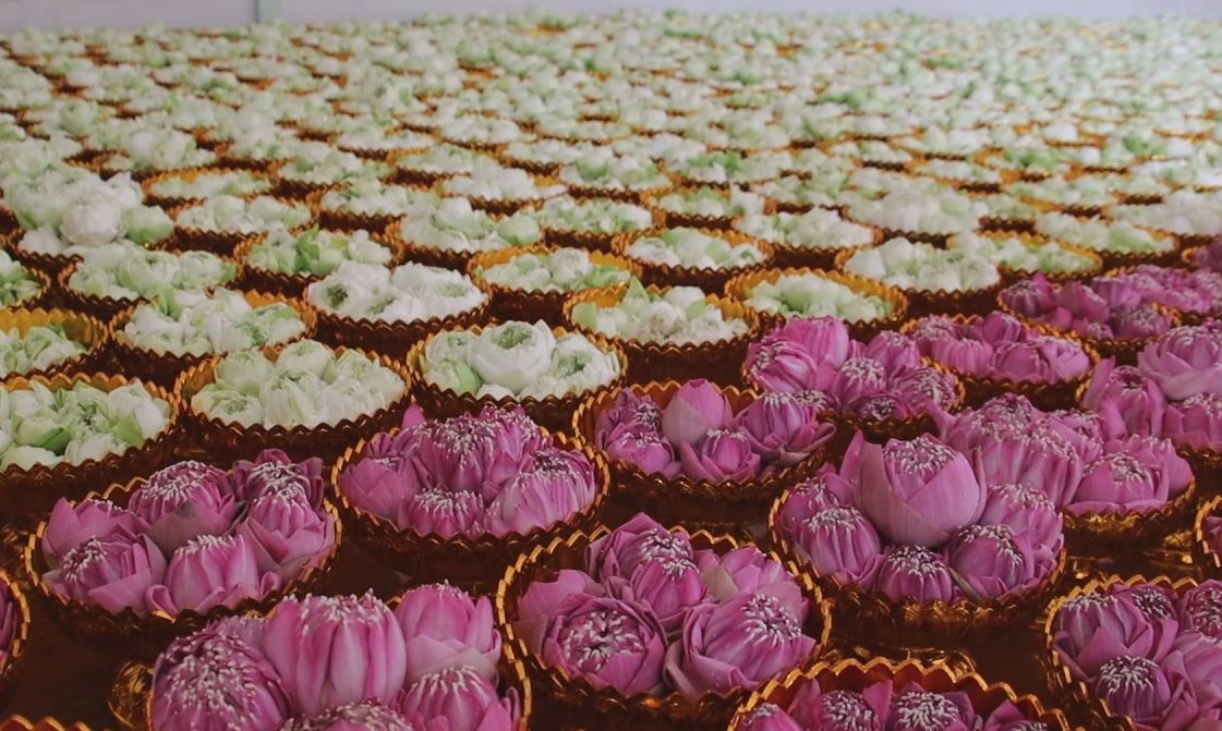 ชาวพิษณุโลกร่วมใจพับดอกบัว 10,999 ดอก เตรียมถวายพระพุทธชินราช ครบ 666 ปี