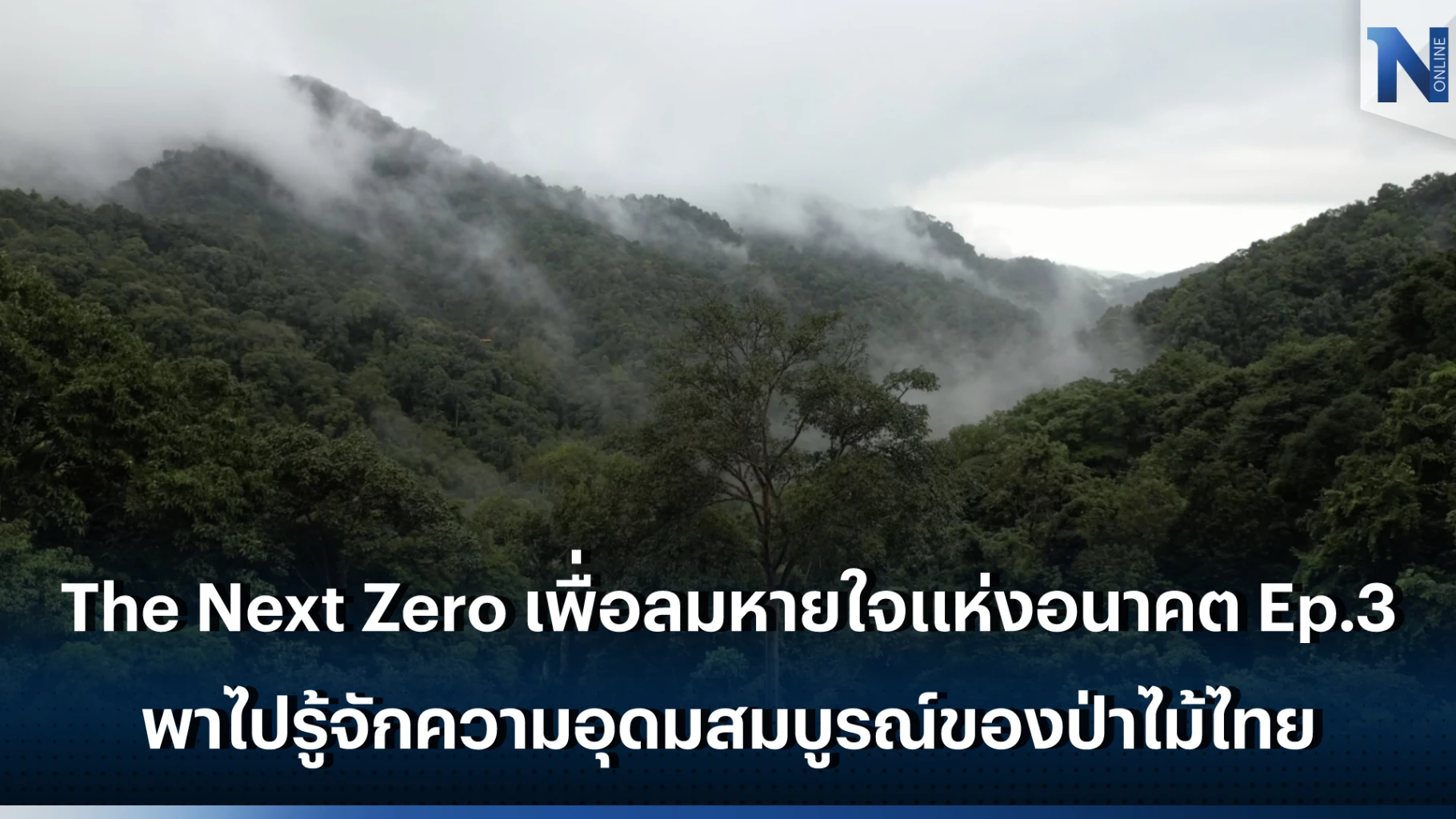 The Next Zero เพื่อลมหายใจแห่งอนาคต Ep3. พาไปรู้จักความอุดมสมบูรณ์ของป่าไม้ไทย