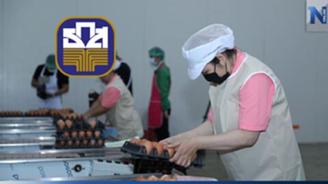 BCPG ผนึก Ampace ลุยผลิตแบตเตอรี่รับความต้องการใช้ไฟฟ้าครบวงจร